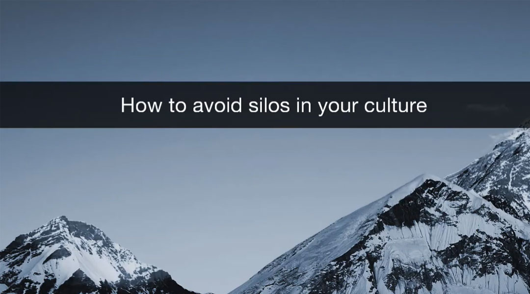 How to avoid silos in your culture - Talent Code HR